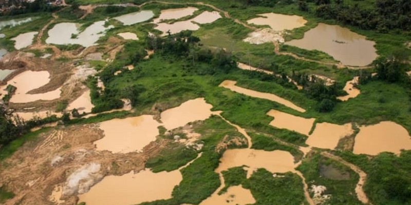 Ghana loses 44% of forest reserves to illegal mining, logging activities