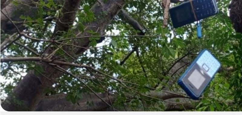 Saboba: Kucha residents still climb trees for phone network ...