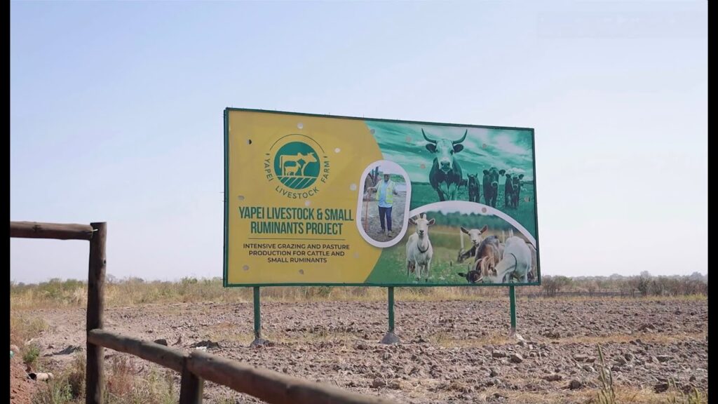 Feed Ghana initiative could reduce food inflation and boost rural ...