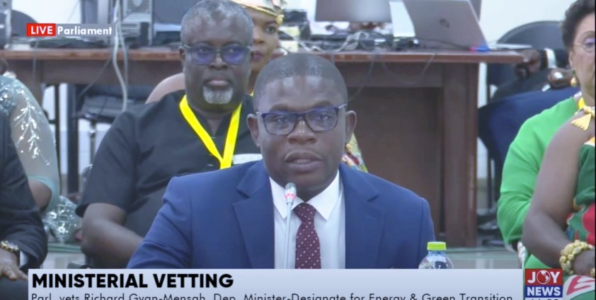 Deputy Energy Minister nominee supports partial privatisation of ECG’s ...