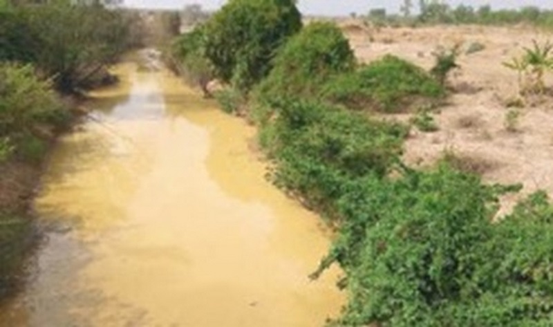 Bono Region losing fertile land, forest reserves to galamsey activities ...