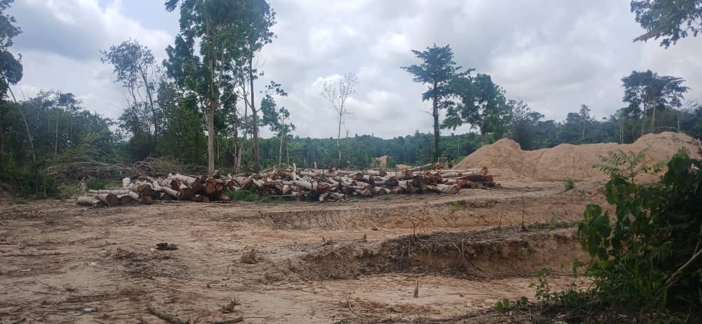 Forestry Commission seeks permanent military deployment to claw back ...