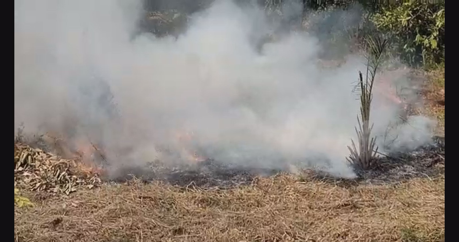 Ghana farmers’ burning practices fuel growing air pollution and ...